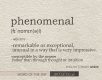 Word of the Day: Phenomenal - WOrds CAn DO